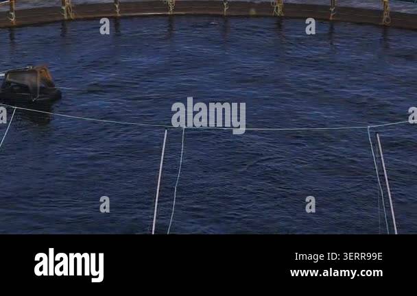 Aerial view of a circular salmon farm pen in Lofoten, Norway. Nets ...