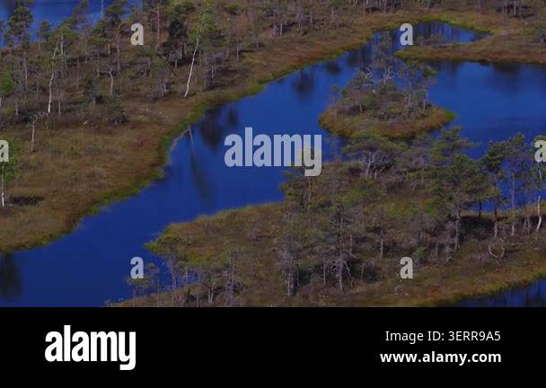 Aerial view shows Kemeri National Park bog trail in Latvia, with peat ...