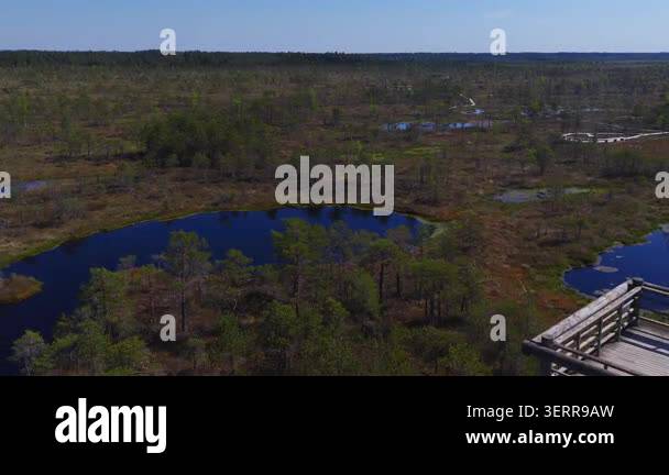 Aerial view sweeps over Kemeri bog in Latvia, showing pools, hummocks ...