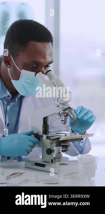 Afro-americcan young biologist doctor examining bacteria in medical ...