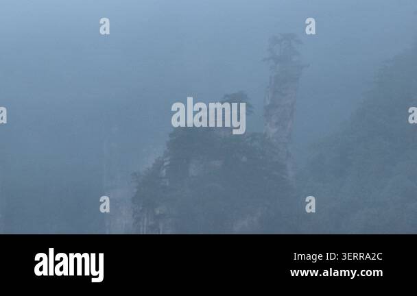 Misty mountain peaks with trees emerging from the fog, a serene natural ...