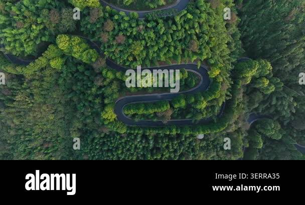 Aerial drone footage of a winding road through a dense green forest ...