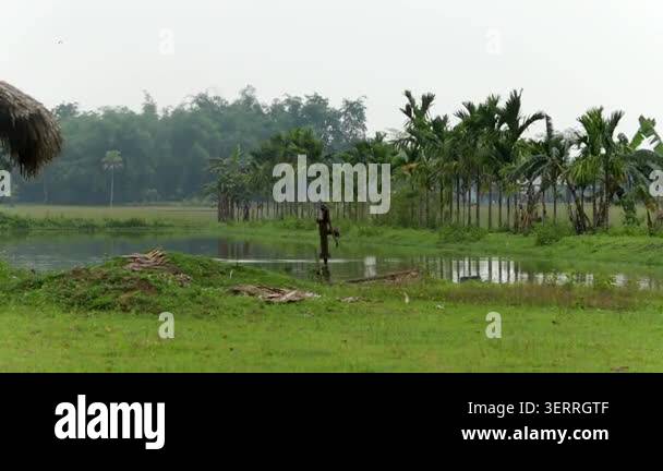 A peaceful countryside scene featuring a calm pond surrounded by lush ...