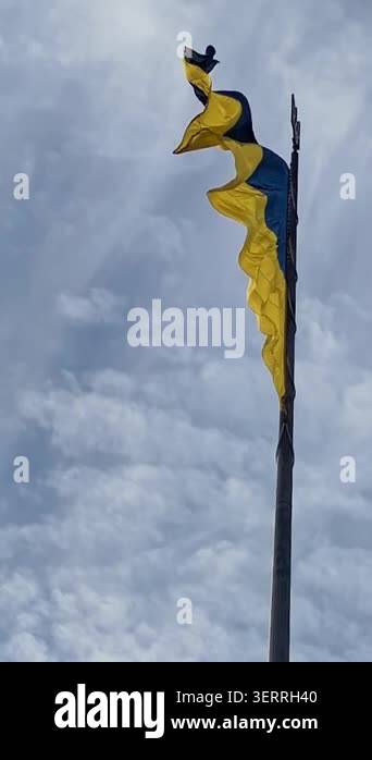 Low angle view of the yellow and blue flag of Ukraine fluttering on a ...