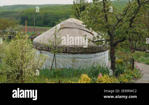 Authentic nomadic yurt standing in a verdant garden with blooming ...