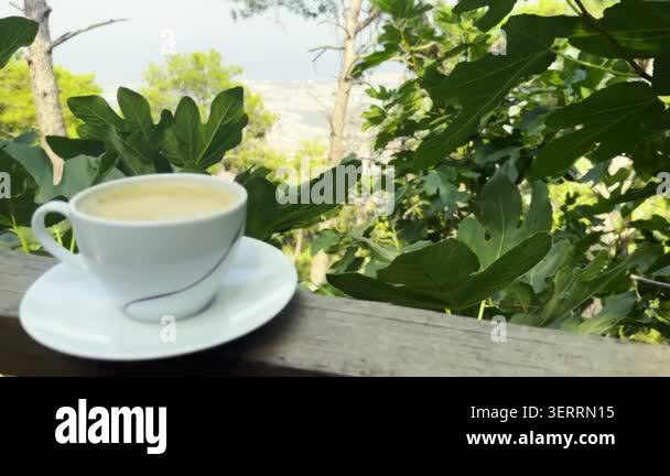 Cup of Coffee near the Green Wild Nature Stock Video Footage - Alamy