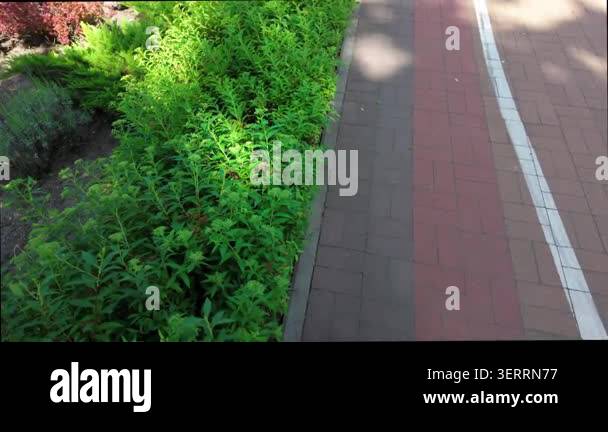 jogging path in a city park. Daytime, bright colors. Healthy lifestyle ...