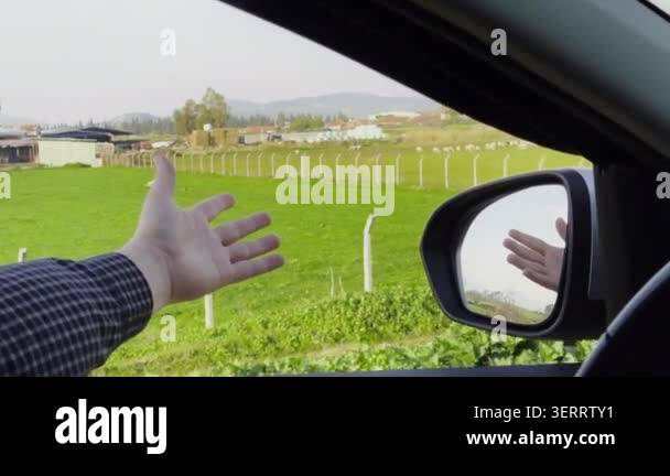 Green Natural Place and Driving Car Stock Video Footage - Alamy