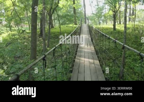 POV walking across a wooden suspension bridge through a lush green ...
