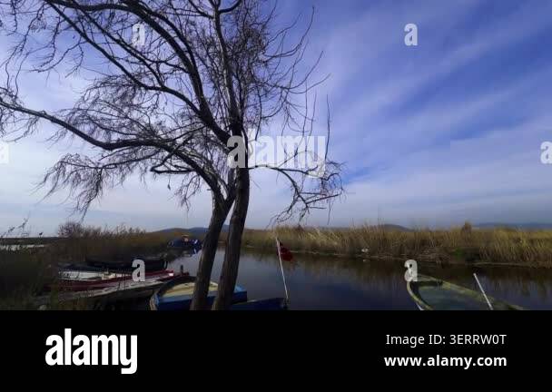 Fishing Boats in River in Nature Stock Video Footage - Alamy