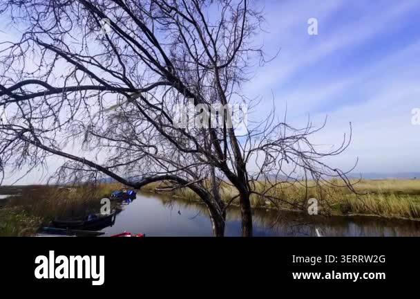 Fishing Boats in River in Nature Stock Video Footage - Alamy