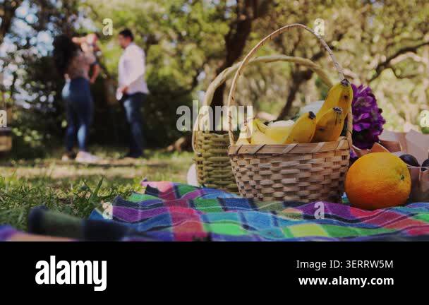 Man and woman sharing conversation during a picnic surrounded by ...