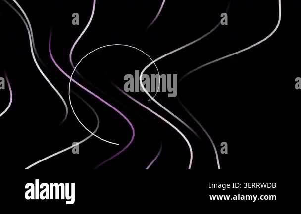 Abstract Flowing Purple and White Wavy Lines on Black Background Stock ...