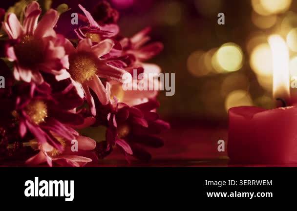 Romantic Flowers in Candle Light and Colorful Bokeh Lights Stock Video ...