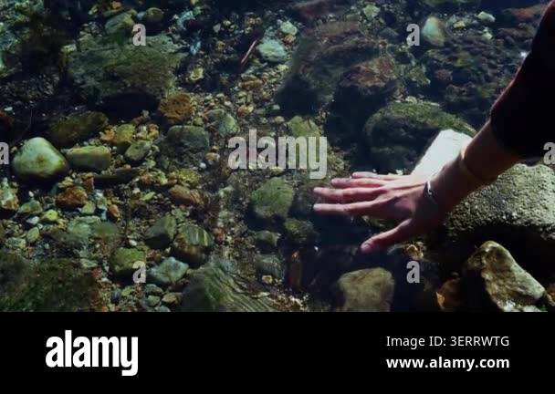 Young Girl Hand is in Pure Fresh Sea Water Holiday Concept Stock Video ...
