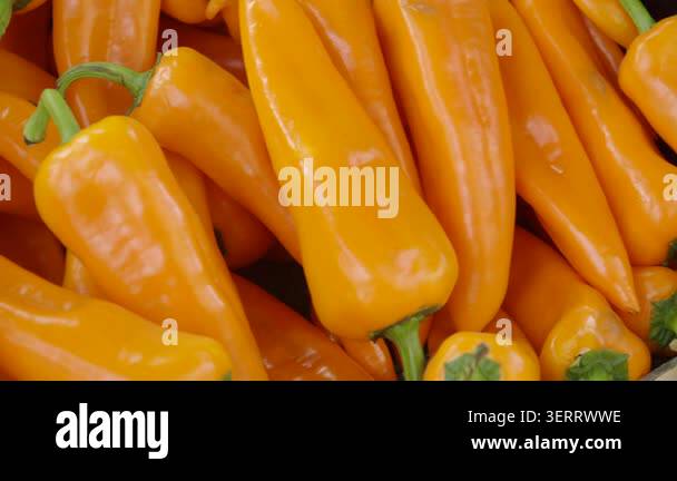 People examine and choose bright orange peppers at the market Stock ...