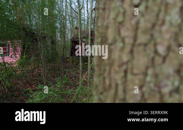 Vintage Old Style Watermill in Green Nature Stock Video Footage - Alamy