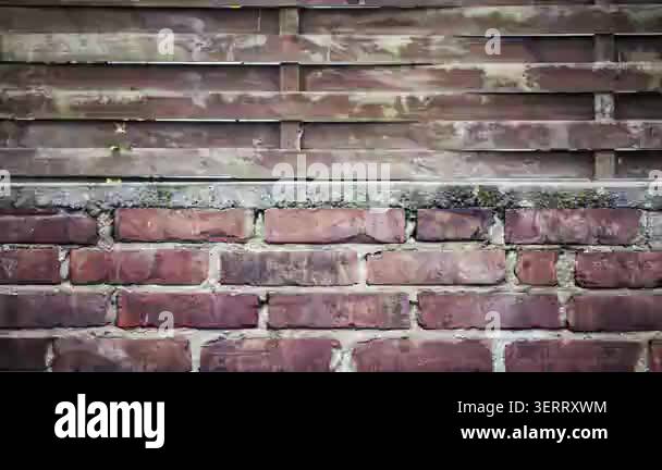 Brick Wall Stop Motion Background Video Stock Video Footage - Alamy