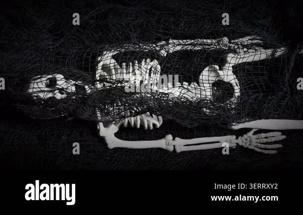 Skeleton and Spider Stop Motion Halloween Concept Stock Video Footage ...