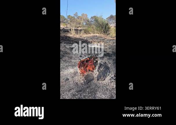 Burnt earth glows with embers. Fires lick dry grass under clear sky ...