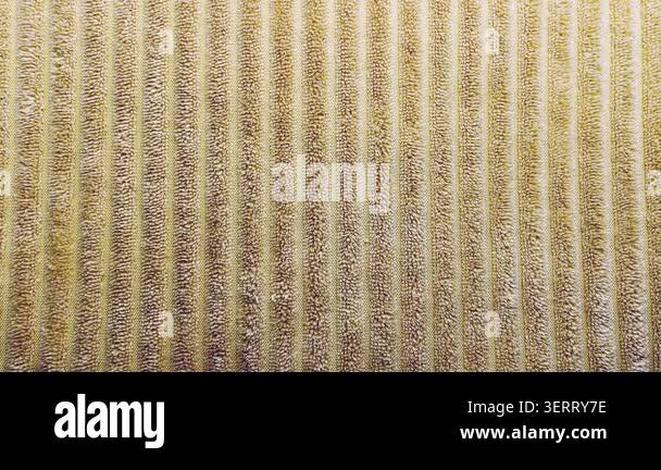 vibrant neon color shifting light illuminates macro corduroy fabric ...