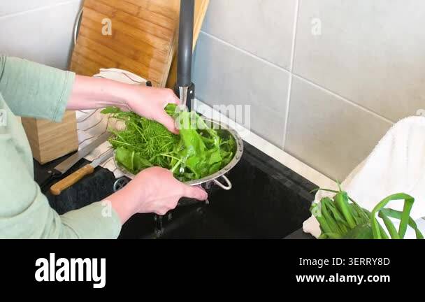 A person is washing various fresh greens in a sink. They hold a ...