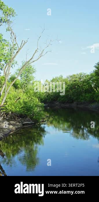 A river flows through dense foliage with reflections on the water ...