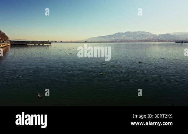 Wide view of the sea with mountains in the distance and birds flying ...