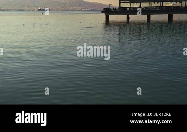 A calm sea scene featuring a pier extending into the water as birds fly ...