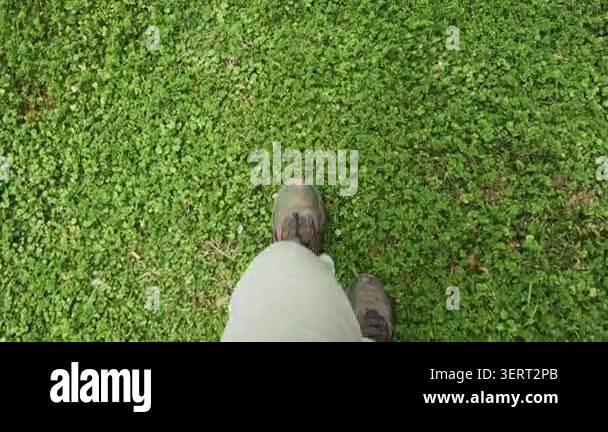 First person perspective of walking on green grass in a natural outdoor ...
