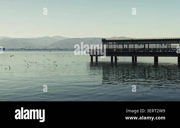 A pier extending over the sea with mountains and birds visible in the ...