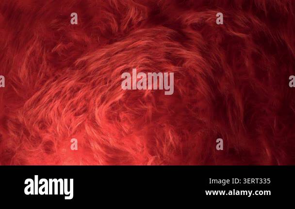 Red fuzzy fabric texture Stock Video Footage - Alamy