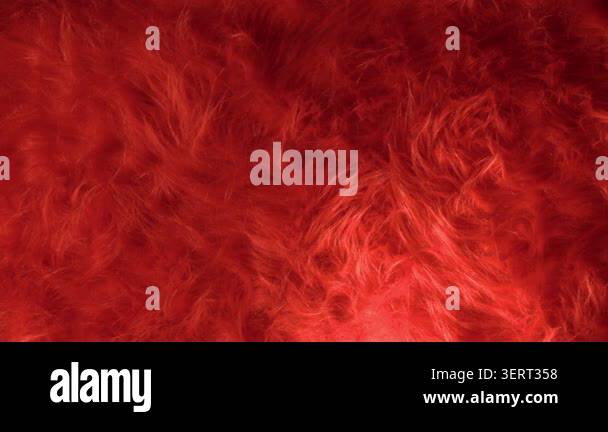 Red fuzzy fabric texture Stock Video Footage - Alamy