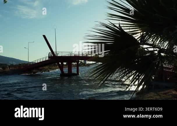 Sunset Light Seeping Through Tree Leaves and Bridge on Sea Holiday ...