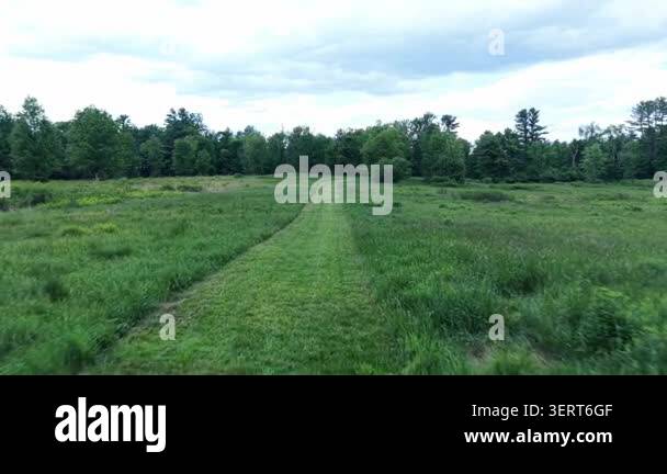 Drone flying across a field over a freshly mowed path headed toward the ...