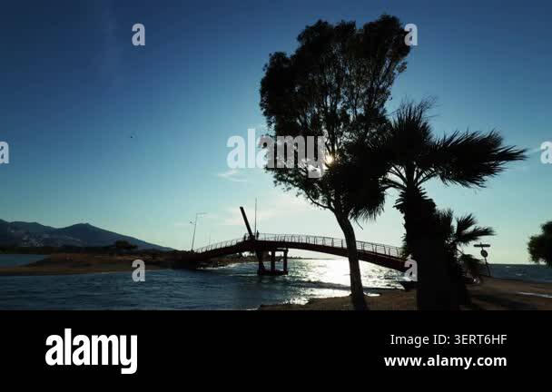 The Bridge on Sea in Sunset Light Coming From Tree Leaves Stock Video ...