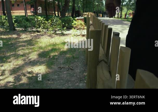 Senior Old Man Walking in Nature Holding On to Wooden Fences Stock ...