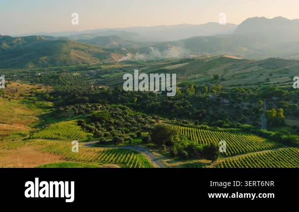 Landscape with Calabrian vineyards and a valley illuminated at sunset ...