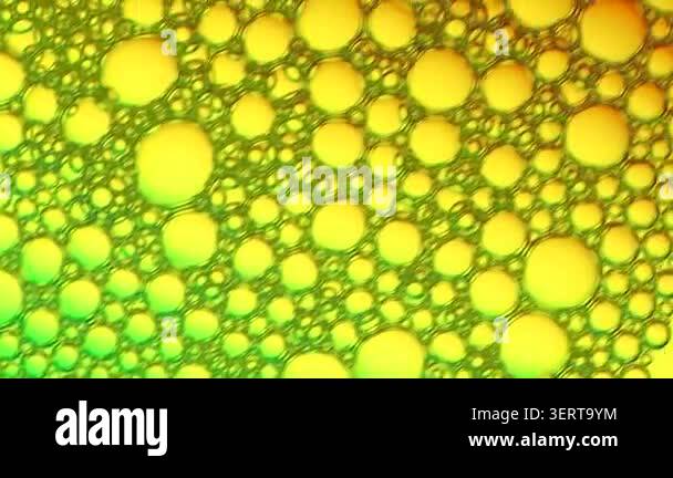 Yellow oil bubbles creating a full frame abstract liquid texture Stock ...