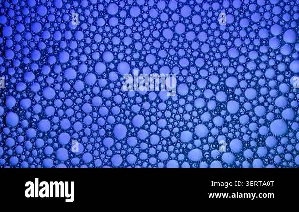 Purple and blue liquid bubbles forming a vibrant abstract foam surface ...