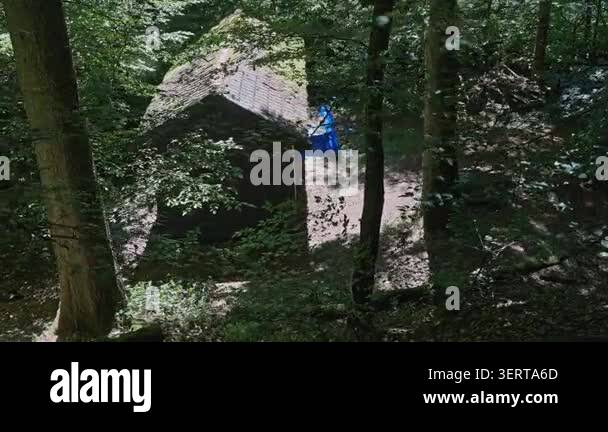 Hidden Forest Hut Nestled Amidst Lush Green Foliage on a Bright Sunny ...