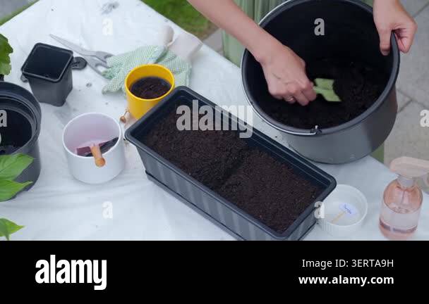 Woman scoops soil from bucket beside planter filled with potting soil ...