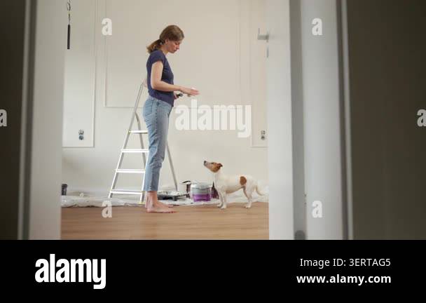 Woman preparing for painting wall with dog in room, holding a paint ...