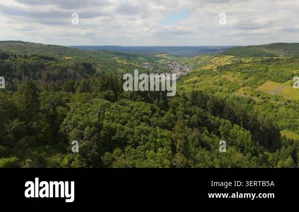 Forest and village at Moselle valley in summer, coniferous and ...
