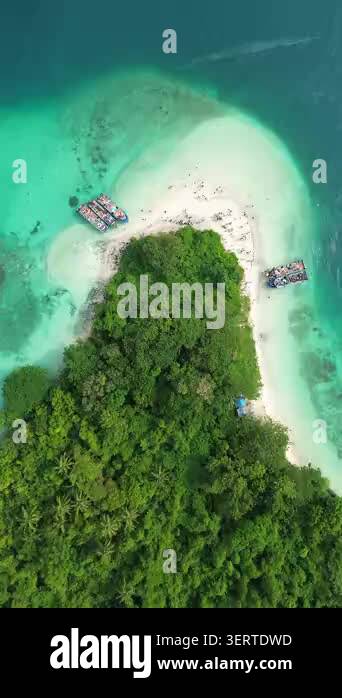 Vertical top down aerial of a jungle island white sand beach with tour ...
