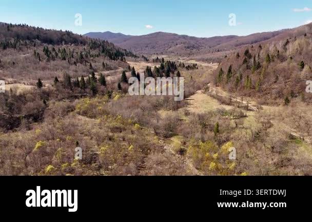Drone flight over a mountain valley in the Carpathians in early spring ...