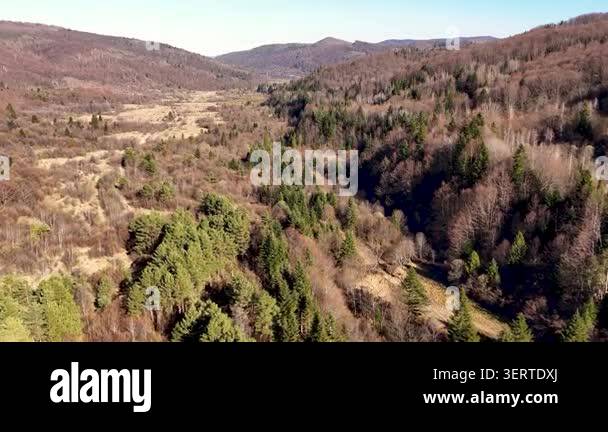 Drone flight over a mountain valley in the Carpathians in early spring ...