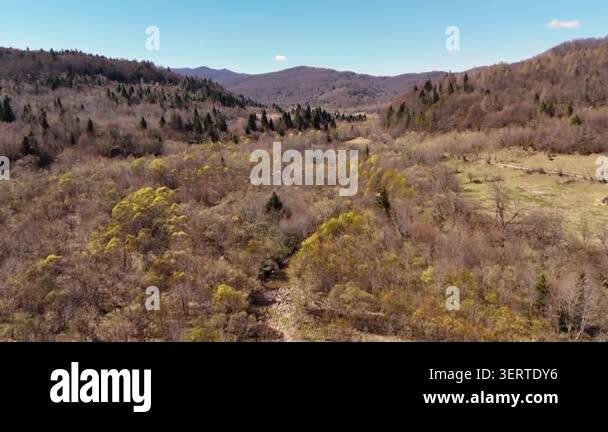 Drone flight over a mountain valley in the Carpathians in early spring ...