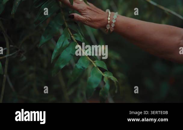 Close-up: Aged hand with dark nails and beaded bracelets touches forest ...