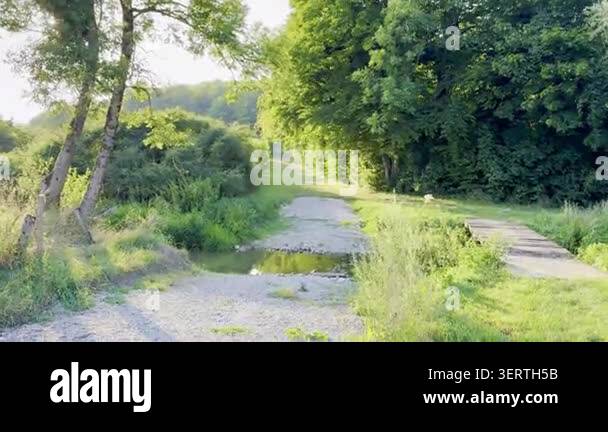 Rural country lane crossing a small stream ford with a wooden plank ...